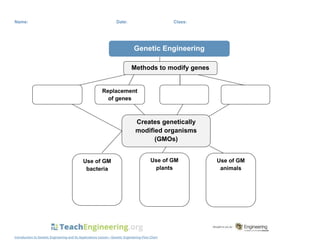 genetic_engineering_quiz_flowchart._docx | PPT