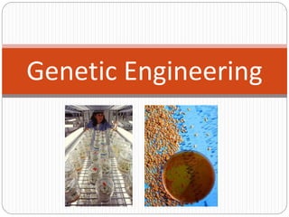 Genetic engineering Presentation pptx | PPTX