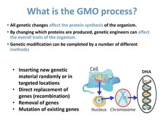 uoh_genetic_lesson01_presentation_v3.pptx