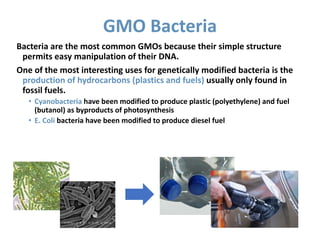 uoh_genetic_lesson01_presentation_v3 (1).pdf
