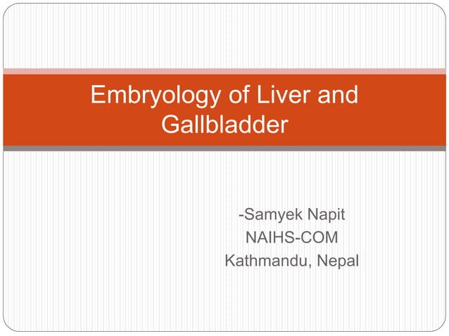 Development of Liver and Gall bladder | PPTX | Pregnancy | Reproductive ...