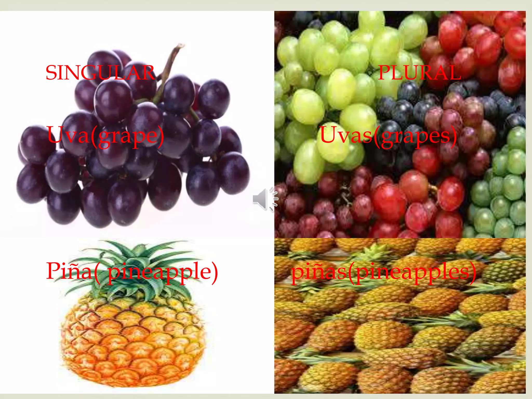 Ingles-Español II parcial | PPTX