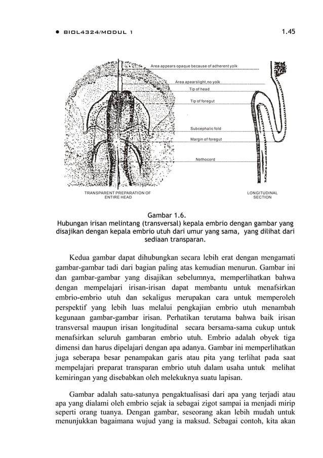 Ruang_Lingkup_Kegunaan_dan_Cara-cara_Mempelajari_Embriologi.pdf