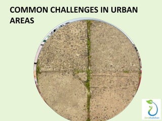 UPAF a solution to urban development issues; Climate Resilience | PPT