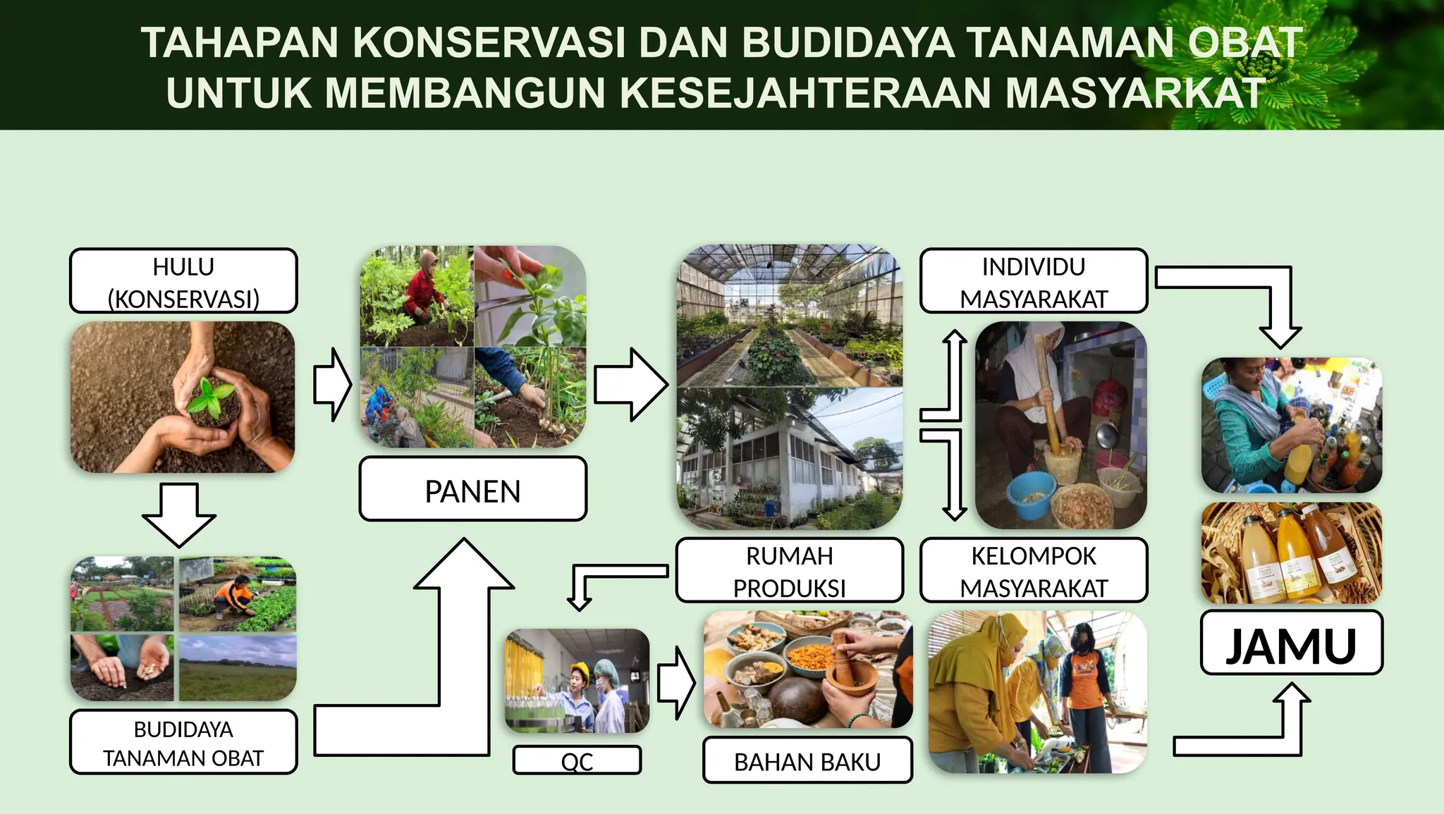 UPAYA KONSERVASI TUMBUHAN OBAT seminar nasional agus.pptx | Free Download