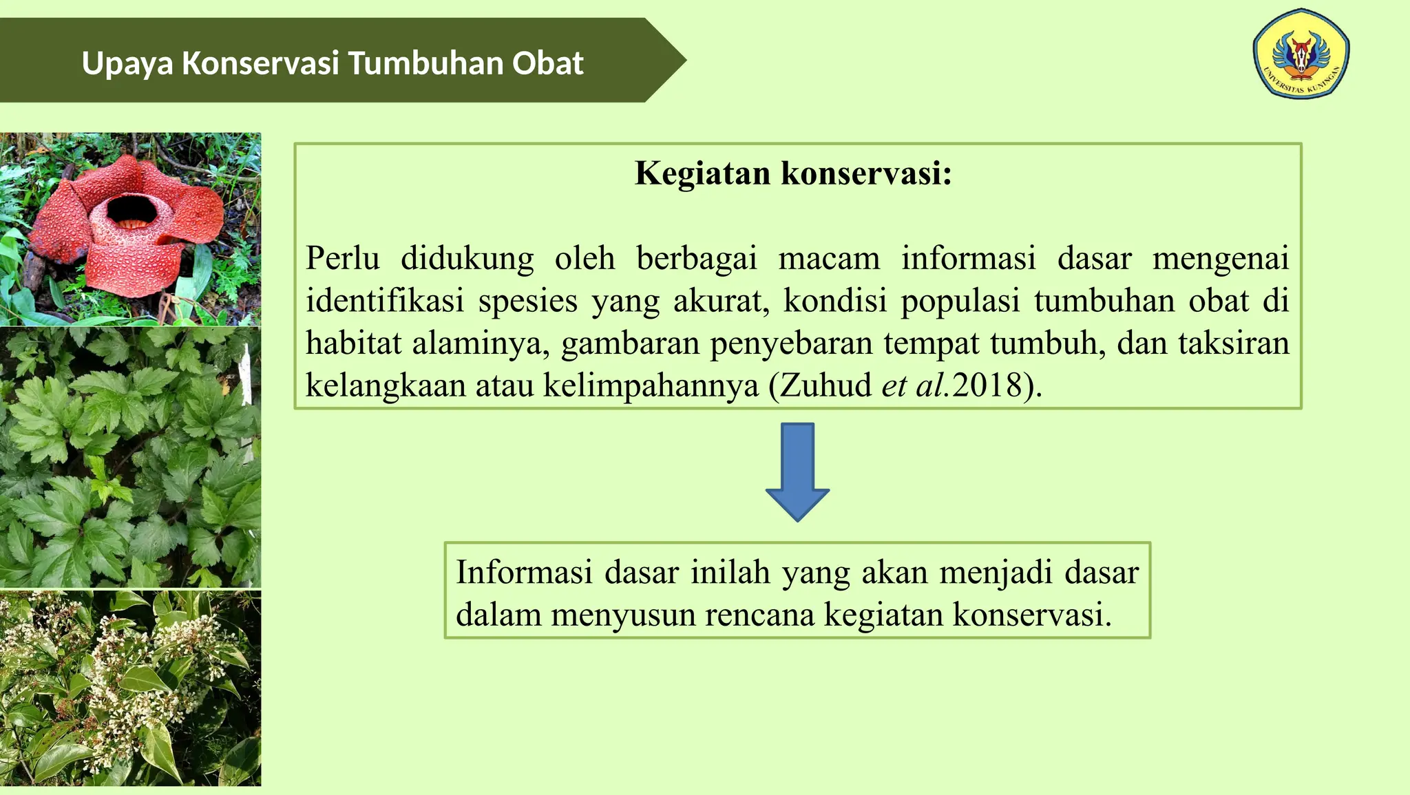 UPAYA KONSERVASI TUMBUHAN OBAT seminar nasional agus.pptx | Free Download