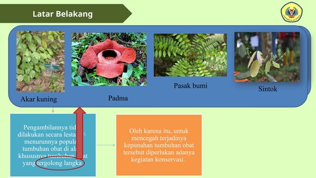 UPAYA KONSERVASI TUMBUHAN OBAT seminar nasional agus.pptx | Free Download