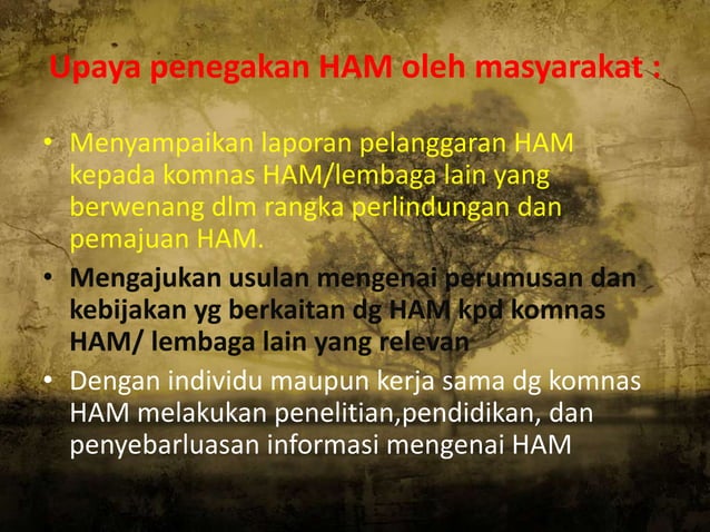 Upaya Penegakan HAM | PPT