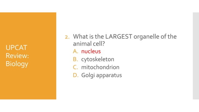 UPCAT-Review-Session-6jwhdhfhrhrbfhr.pptx