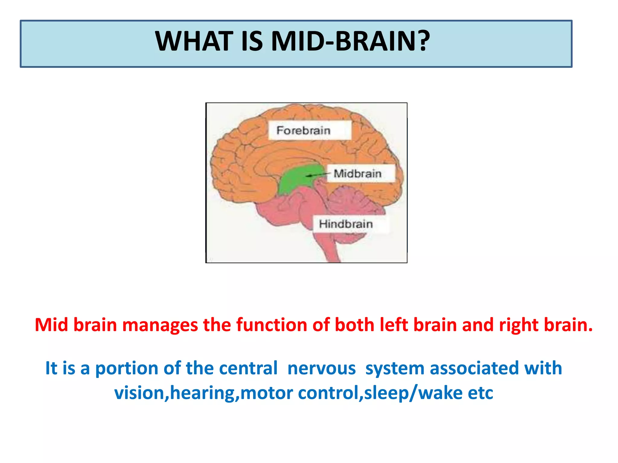 Mid Brain Activation for children | PPT