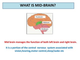 Mid Brain Activation for children | PPTX