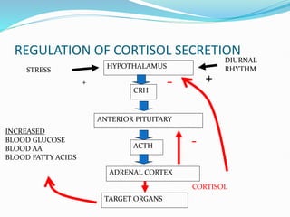 Update.Adrenal Functionand Tests.pptx