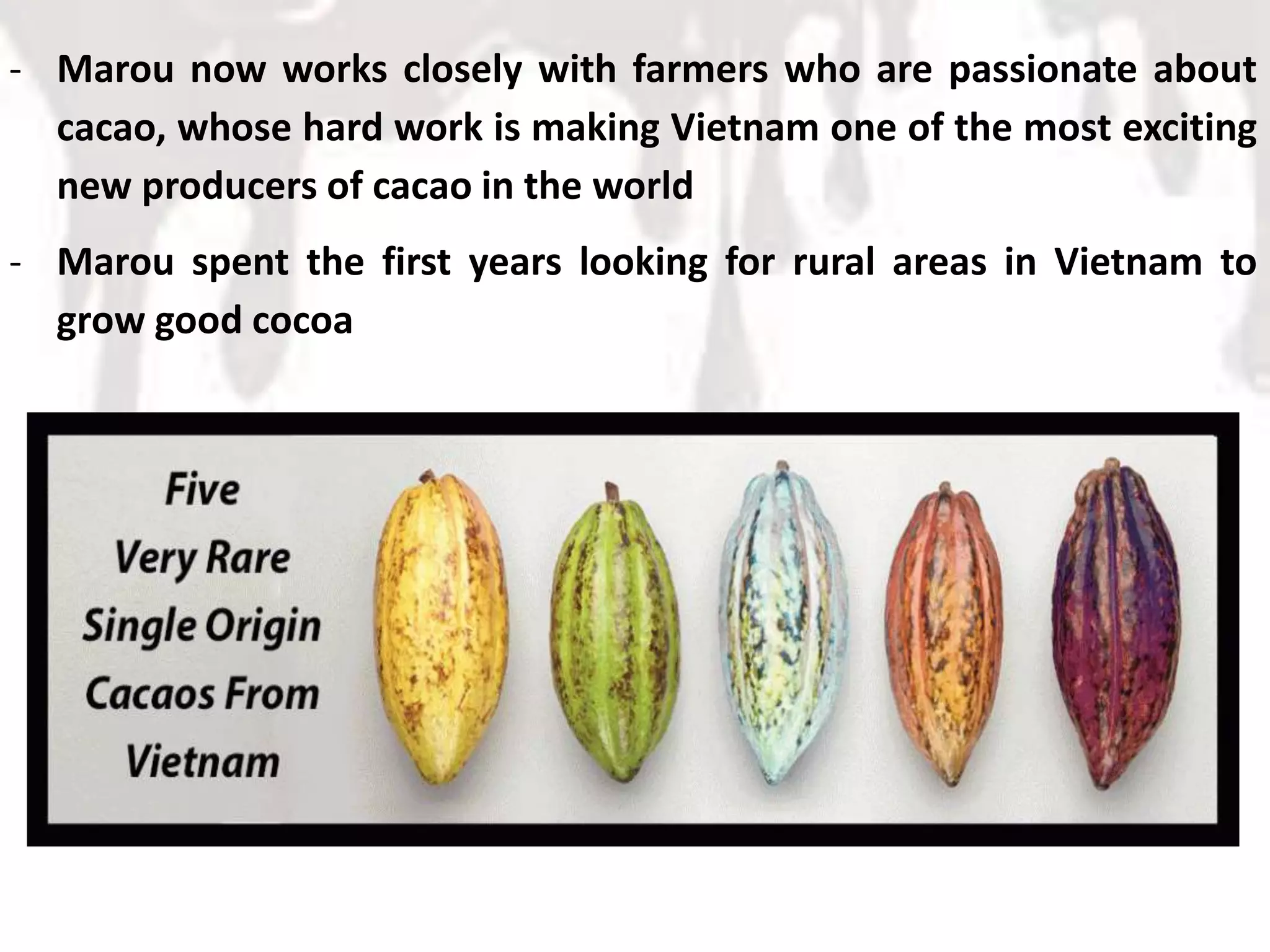 Vietnam chocolate - Marou | PPTX