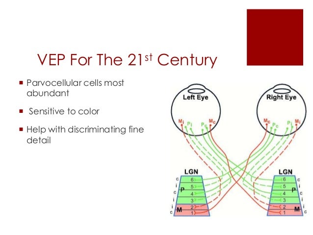 VEP for the 21st Century