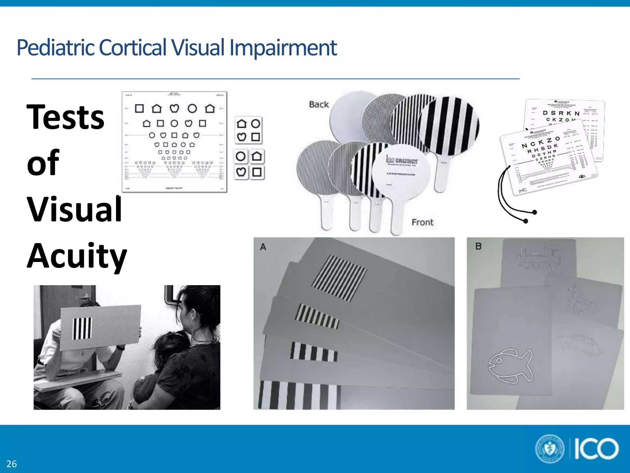 AAO: Pediatric Cortical Visual Impairment | PPTX