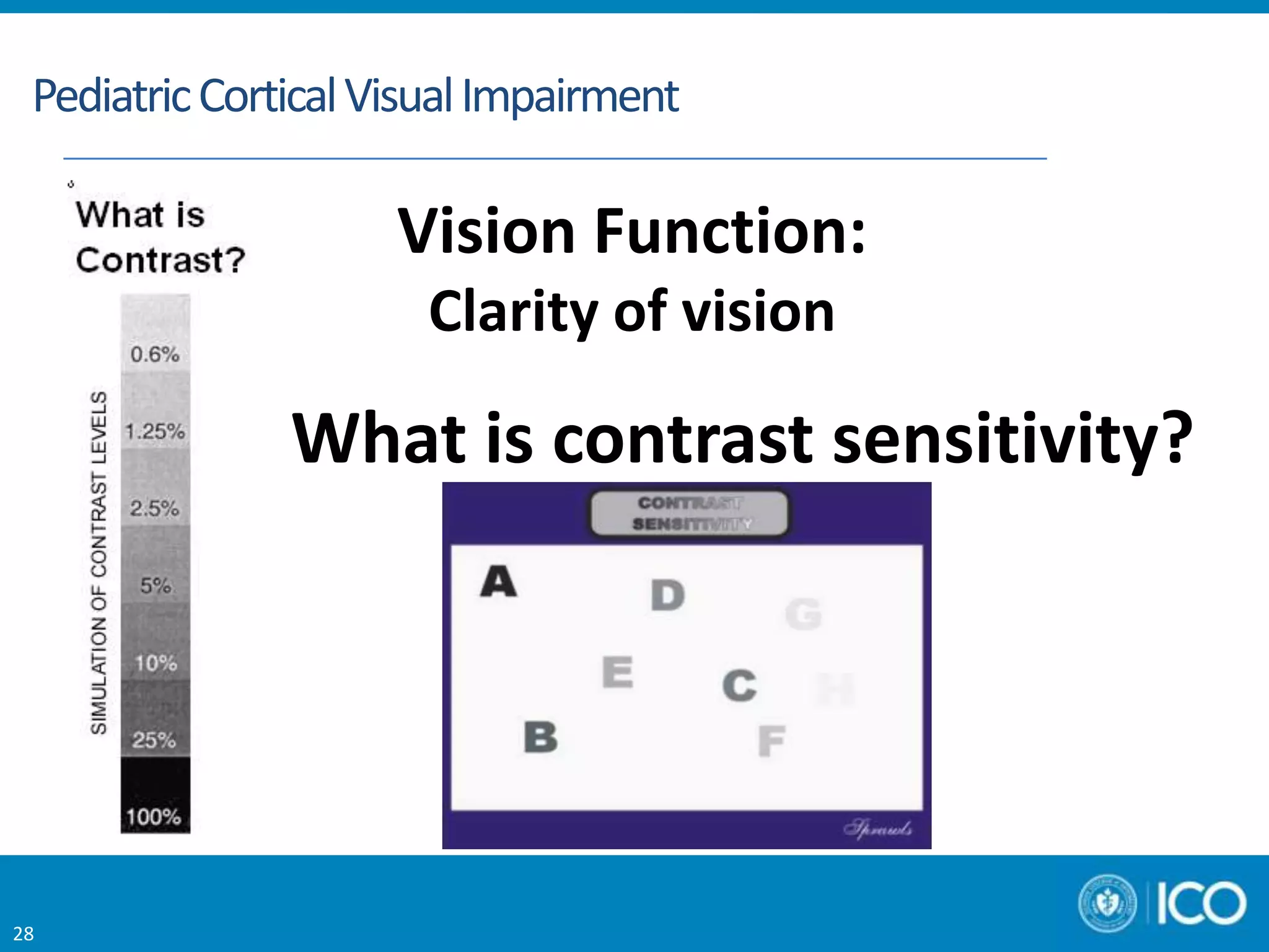 AAO: Pediatric Cortical Visual Impairment | PPTX
