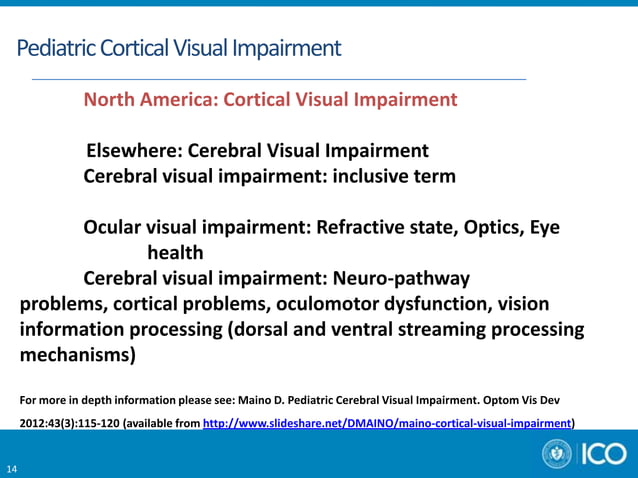 AAO: Pediatric Cortical Visual Impairment | PPTX
