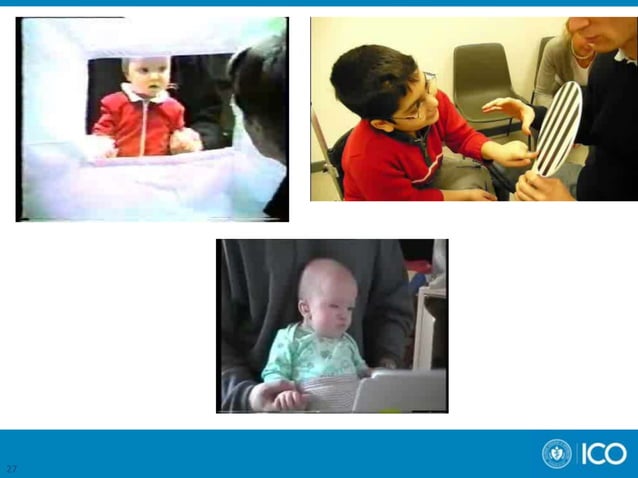 AAO: Pediatric Cortical Visual Impairment | PPTX