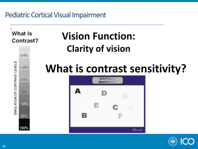 AAO: Pediatric Cortical Visual Impairment | PPTX