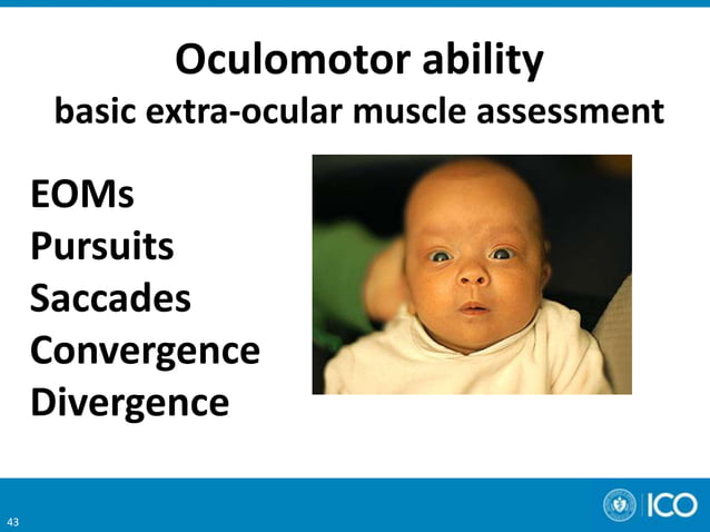 AAO: Pediatric Cortical Visual Impairment | PPTX