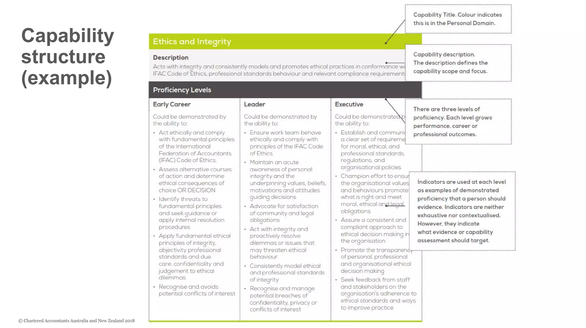 CA ANZ Capability Model | PDF