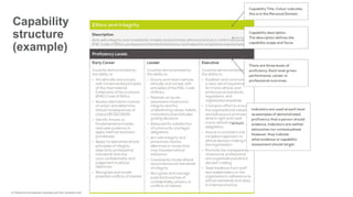 CA ANZ Capability Model | PDF