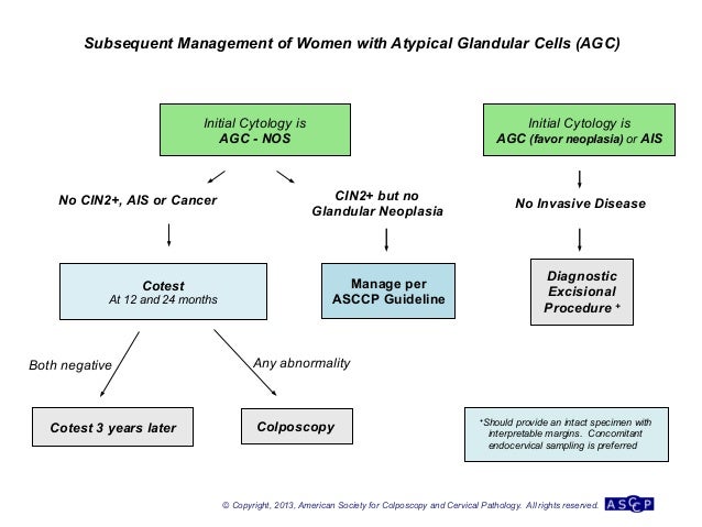 Updated 2012 Asccp Algorithms