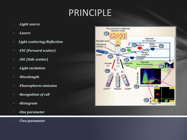 Updated 2016 introduction to the methodology of flow cytometry | PPTX ...