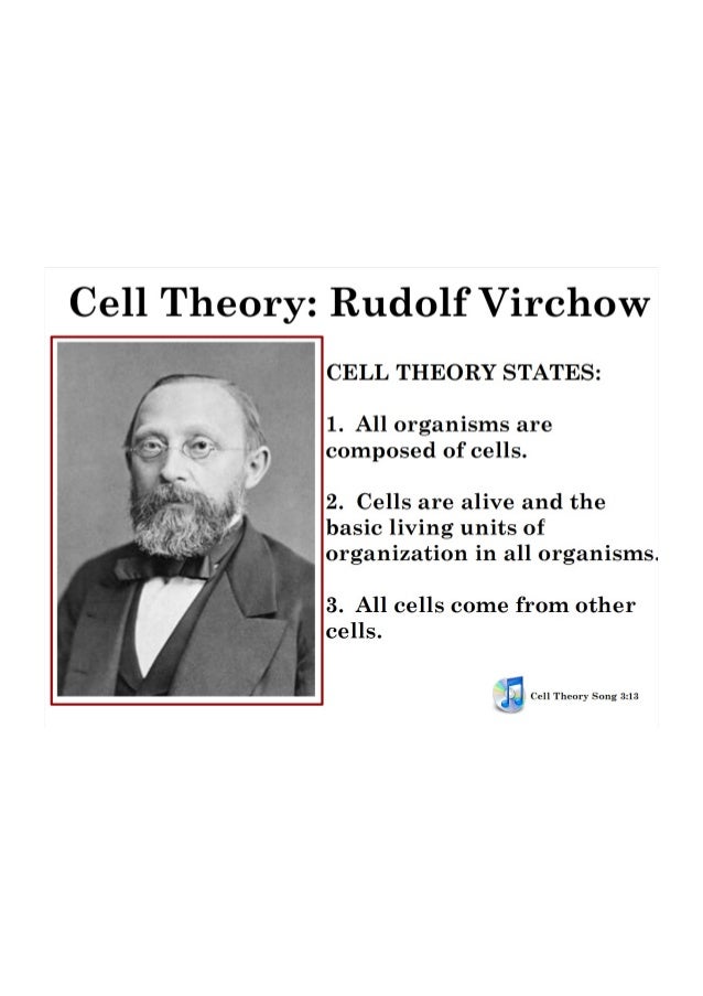 Cells 3.1 .flipchart