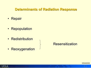 Updated8.TheRadiobiology-of-Alternate-Physical-Forms-of-Radiation ...