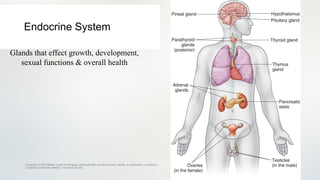 Updated Anatomy and Physiology -2025 for Cosmetology | PPTX