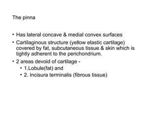 Anatomy of the EarENT DEPARTMENT NHA.pptx