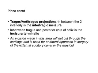 Anatomy of the EarENT DEPARTMENT NHA.pptx