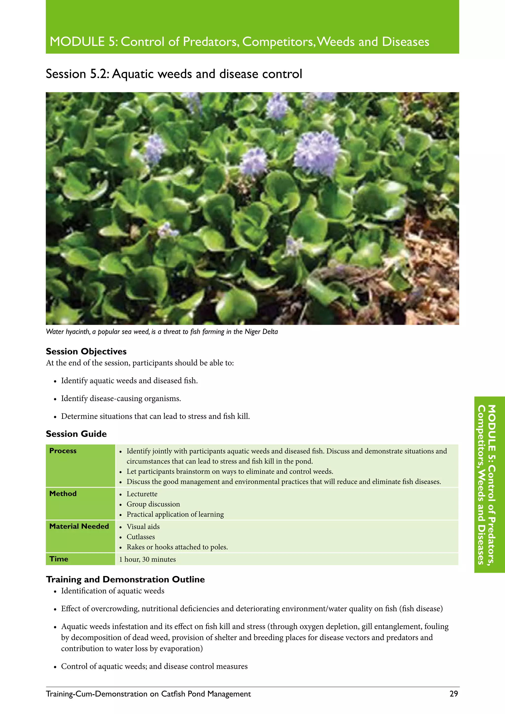 PIND Aquaculture Manual | PDF