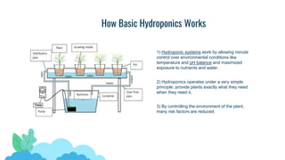 Automated Hydroponics System.pptx | Agriculture | Industries