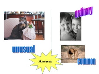 Updated b.tech ii unit ii antonyms | PPT