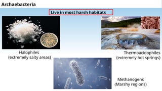 Class 11 Biology - Biological Classification | PPTX