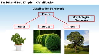 Class 11 Biology - Biological Classification | PPTX
