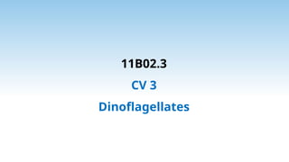 Class 11 Biology - Biological Classification | PPTX
