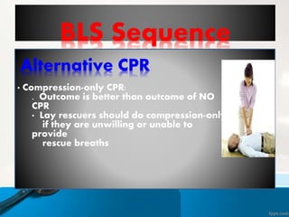 Updated bls training | PPT