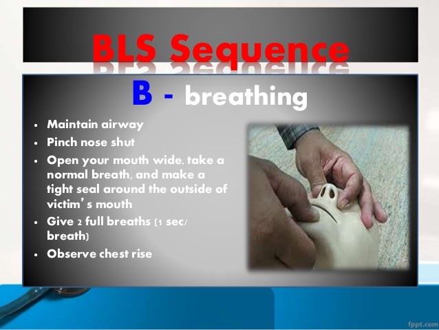 Updated bls training