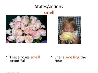 Updated b tech ii unit i verbs | PPT