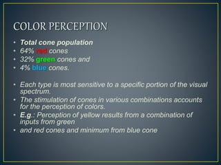 color vision.ppt