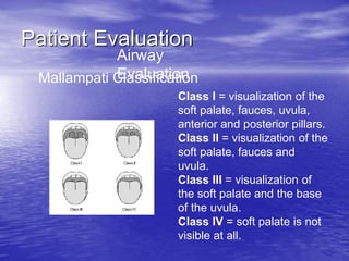 Updated conscious sedation course.ppt