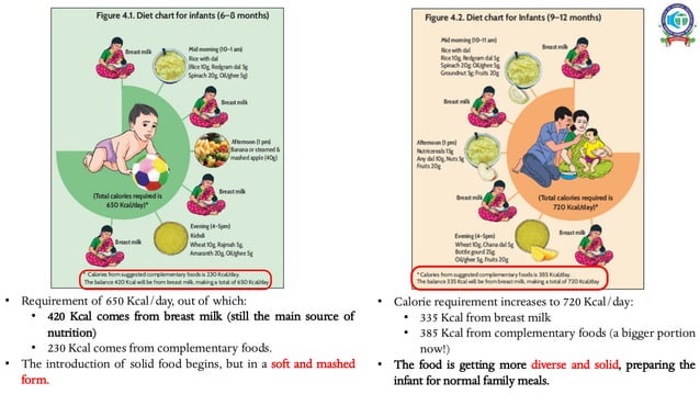 NUTRITION DURING NORMAL LIFE CYCLE- 7 TO 12 MONTHS_.pdf
