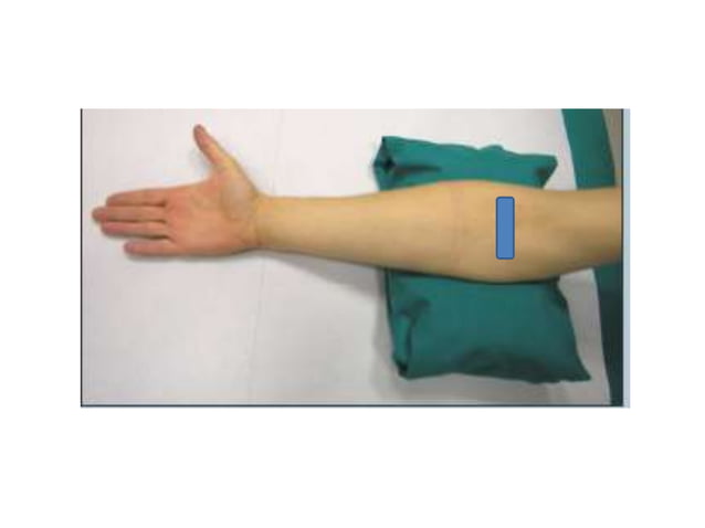 Updated Elbow Musculoskeletal US Examination | PPT