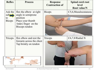 updated Examination of Motor System with reference 2025.pptx