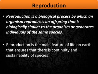 Reproduction and everything in-between... | PPT