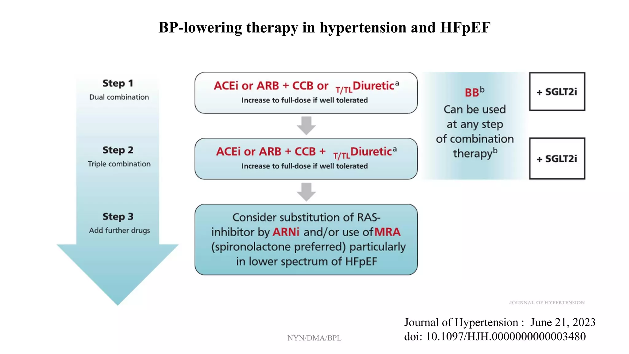 Updated Hypertension Management – ESH 2023.pdf