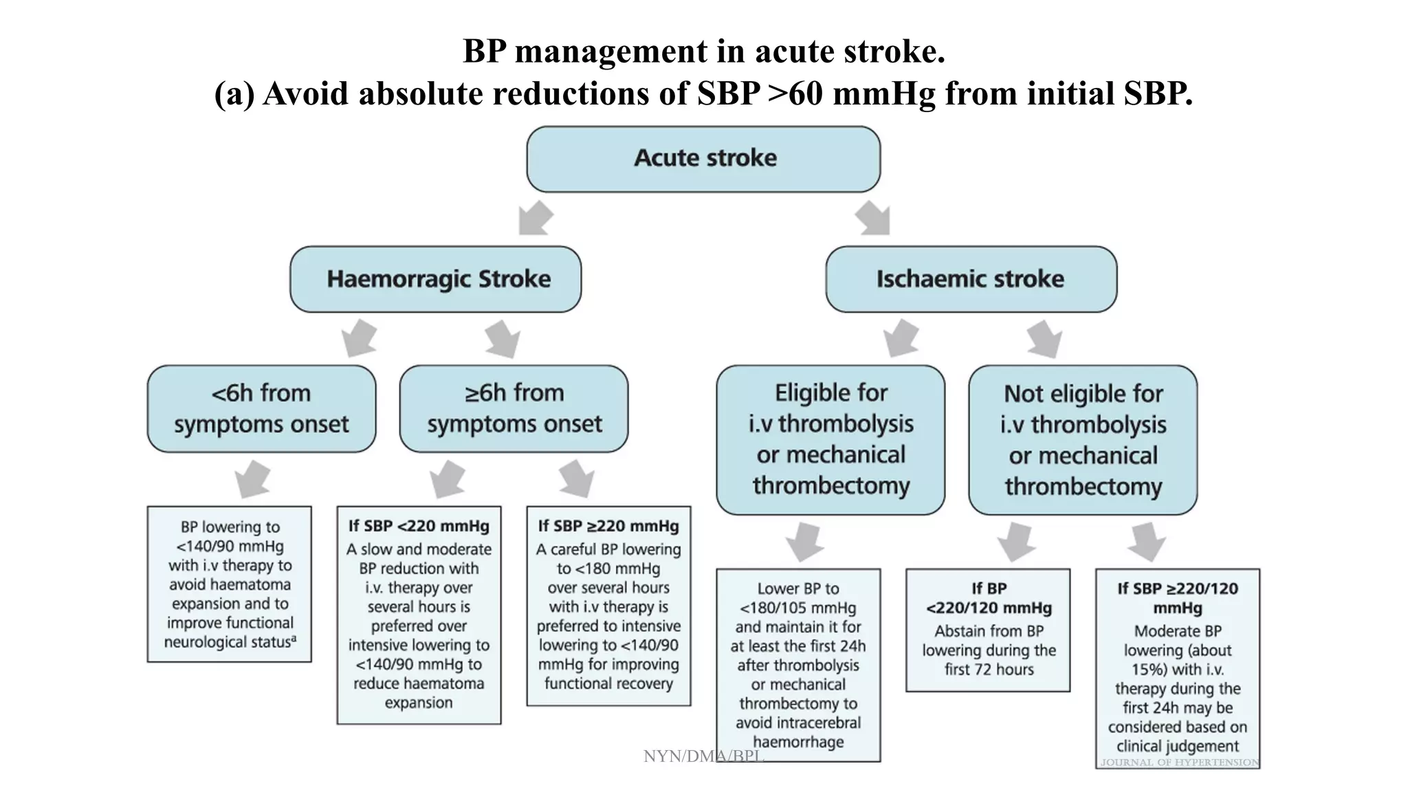 Updated Hypertension Management – ESH 2023.pdf